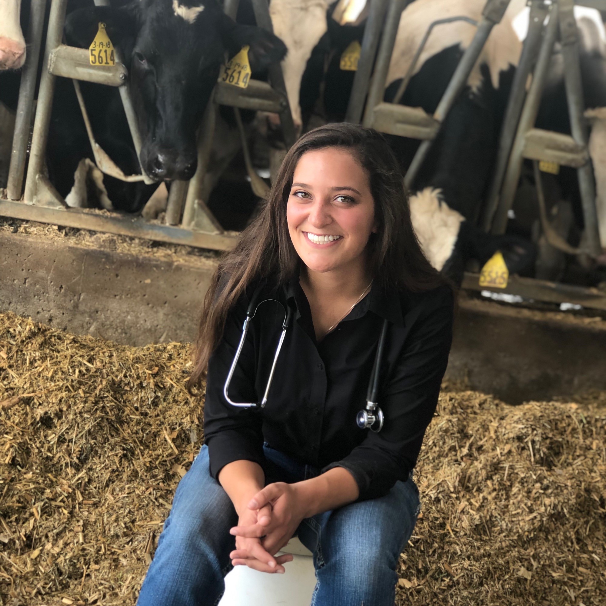 Weigel, K. – Improving the performance of dairy heifer operations by ...