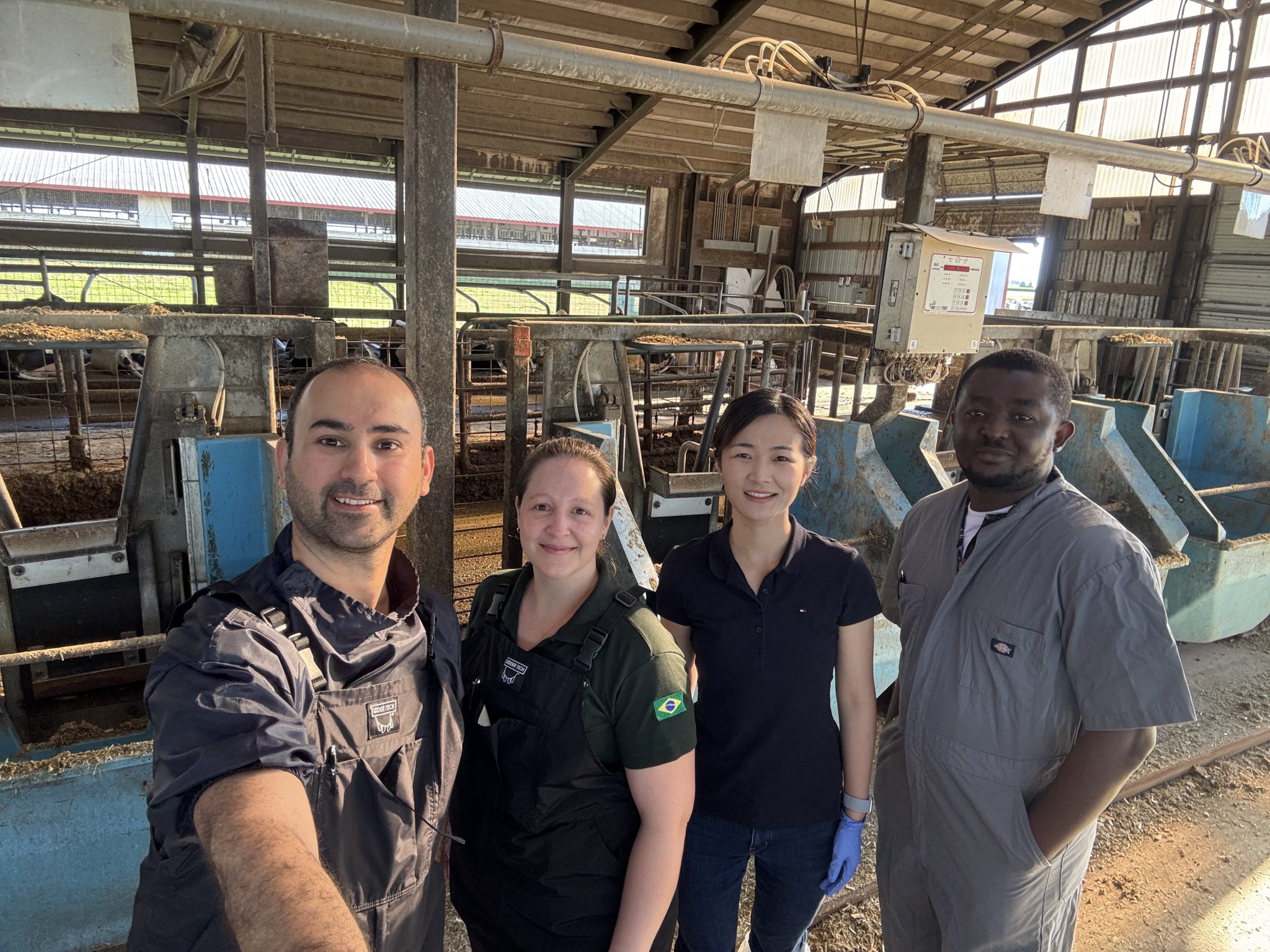 New faculty profile: Yun Jiang – Dairy Innovation Hub